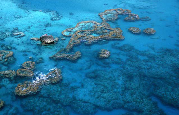 Sargaško more, jedino more na svijetu koje nema dodir s' kopnom - CdM