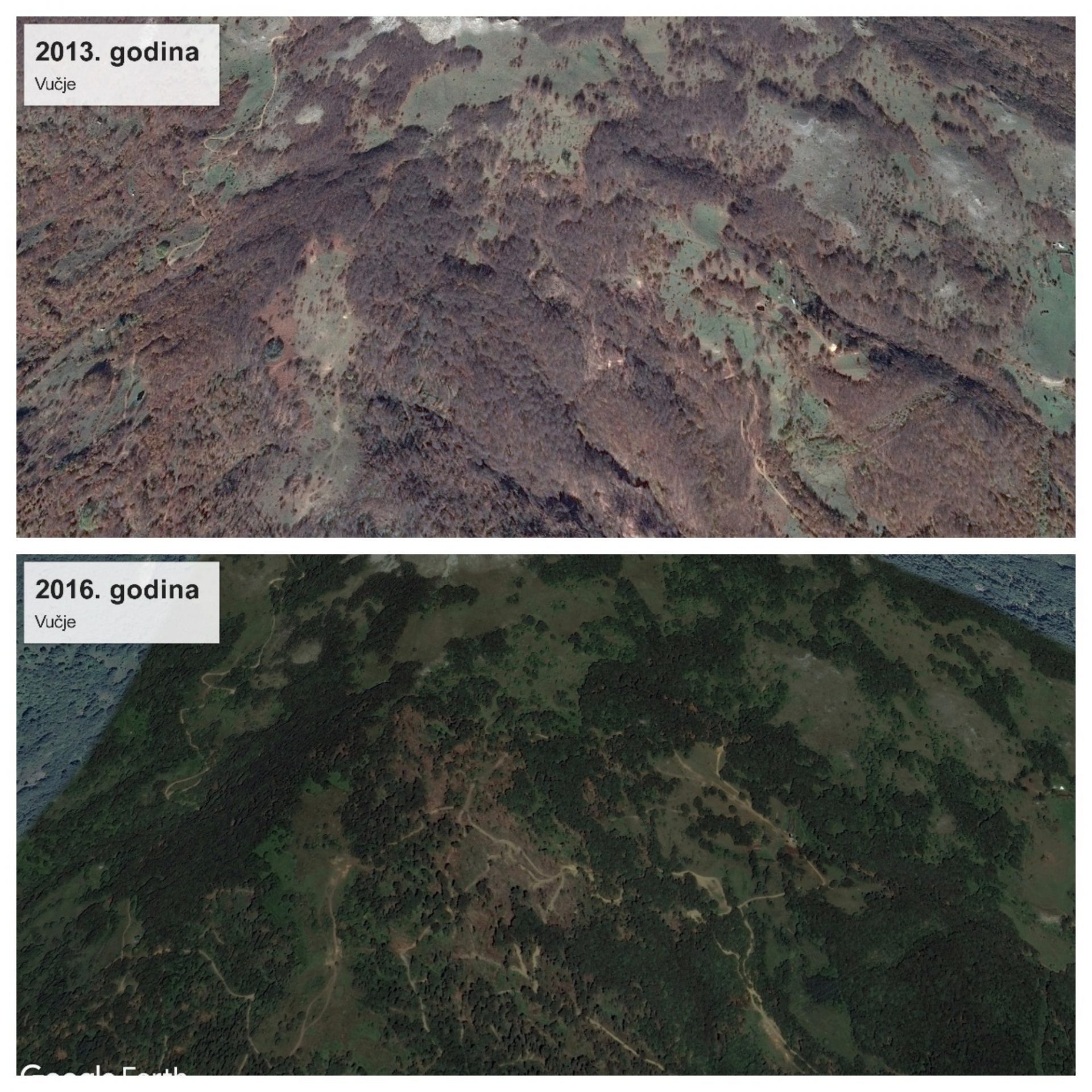 CZIP poručio Vladi: Vaša briga o šumama vidljiva i iz svemira - CdM