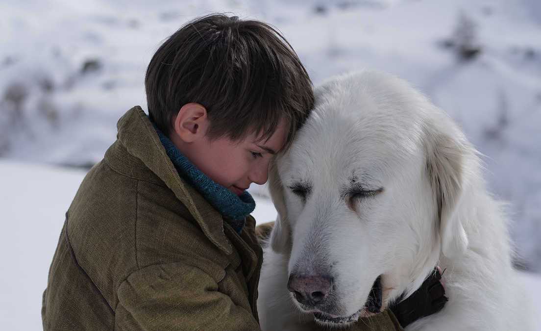 Cineplexx Delta City nagrađuje, osvojite karte za film Bela i ...
