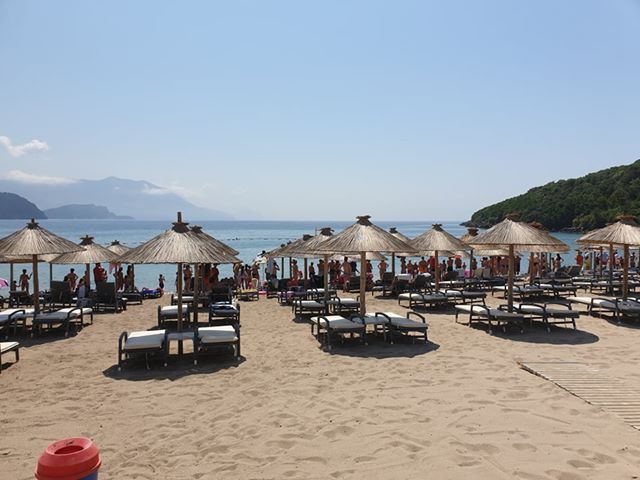 Riba iglun napravila pometnju na Jazu, kupači mislili da je ajkula - CdM