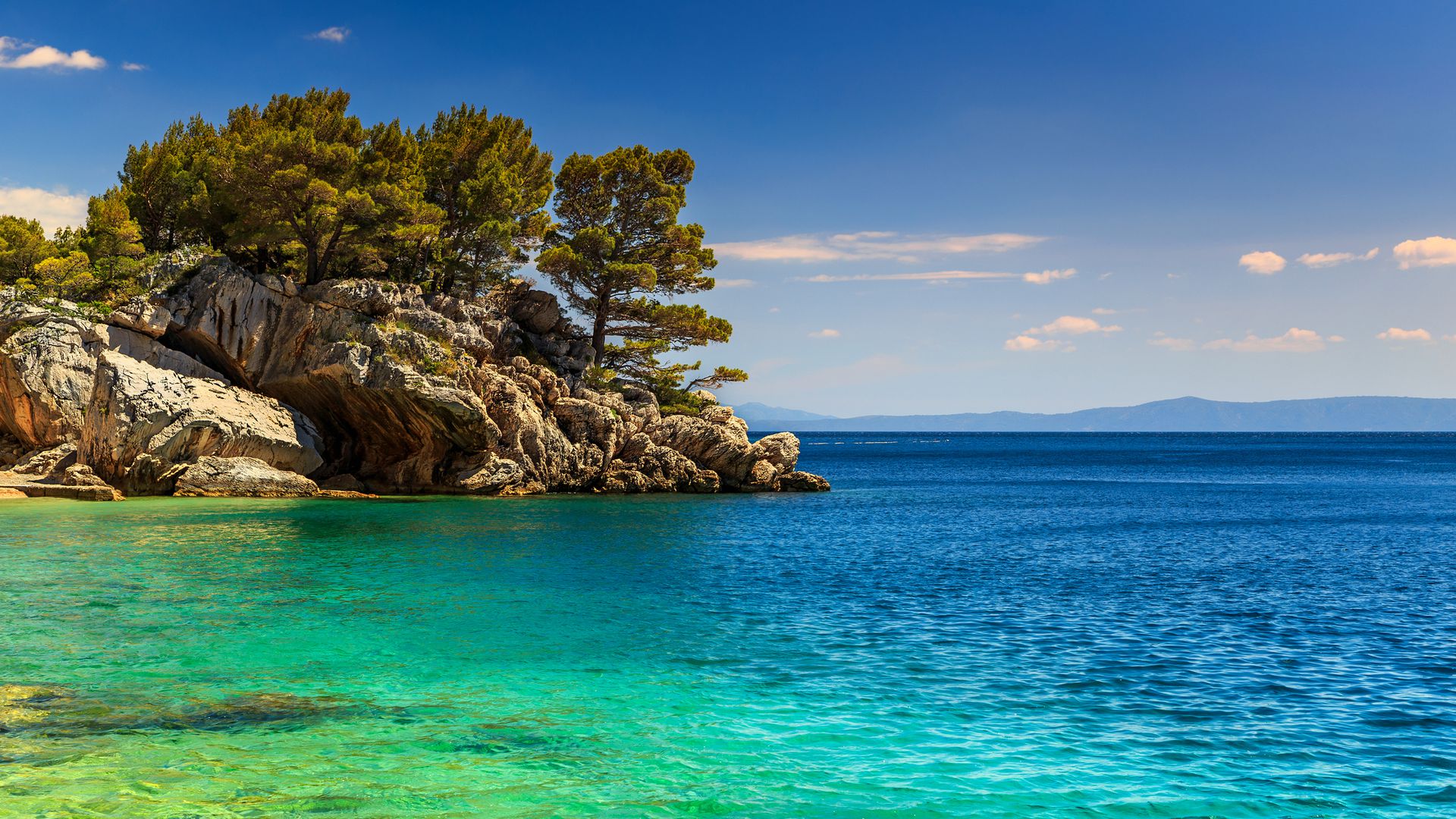 Jadransko more zagađeno, postoji opasnost od zaraze - CdM