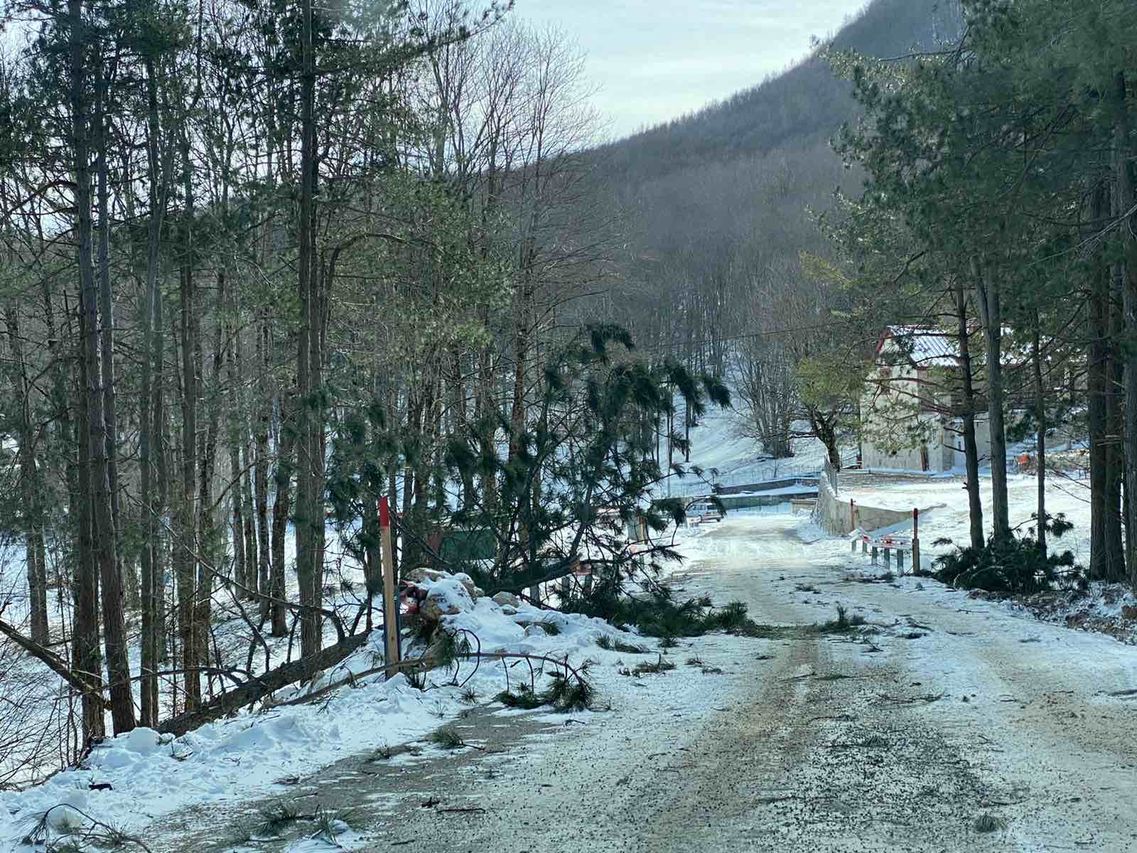 Snažni udari vjetra preksinoć oborili stabla u nacionalnim parkovima - CdM