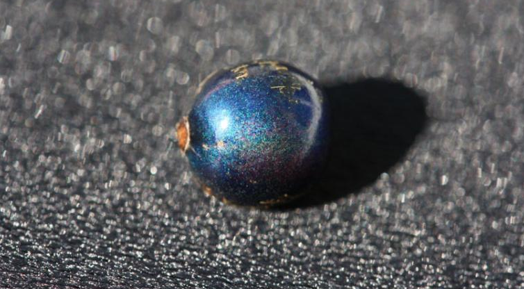 Pollia condensata, najsjajniji organizam na svijetu - CdM