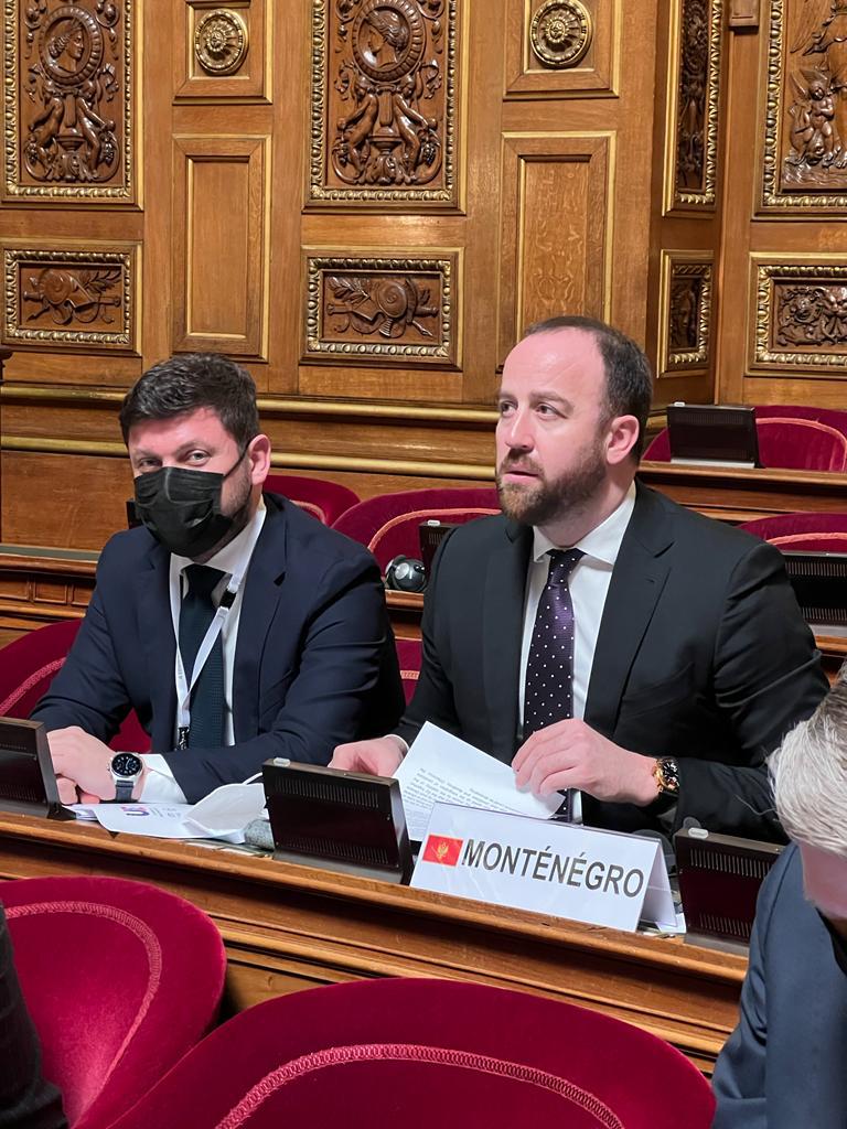 Nikolić: Pitanje da li će Putin pokrenuti nove konflikte na Balkanu - CdM