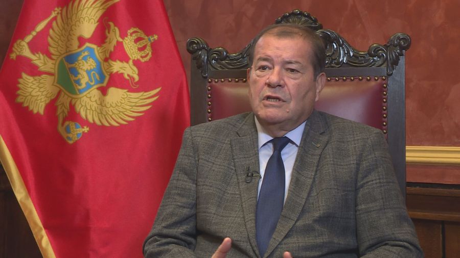 Ivanović: SNP ostaje pri stavu da DPS, SD i SDP ne mogu u vladu - CdM