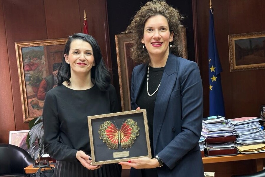 Maša Vlaović: Iskustva Sjeverne Makedonije značajna za formiranje ...