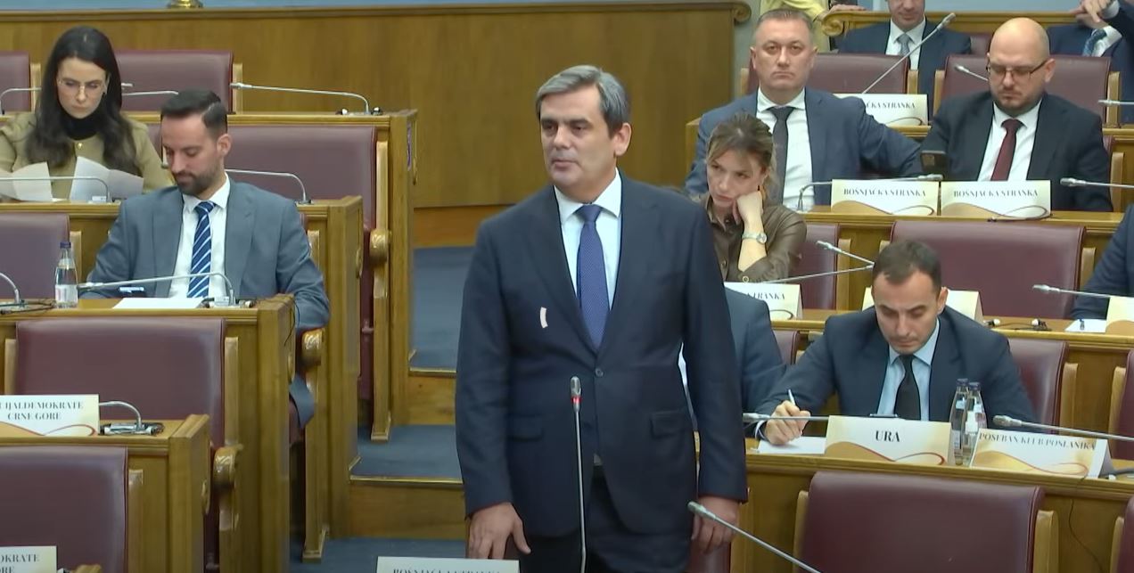 Nikolić: Mandić nezakonito crnogorski državljanin i predsjednik ...