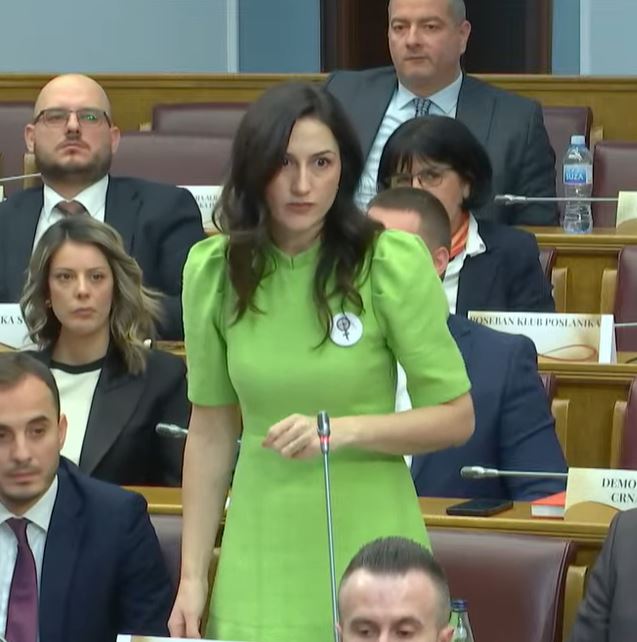 Jevrosima Pejović: Spajić izbjegao odgovor; Boris Pejović: Konstruišete ...