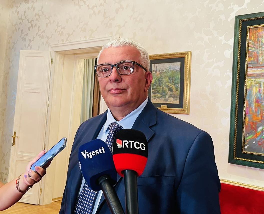 NDS bira predsjednika, Mandić jedini kandidat - CdM NDS bira predsjednika, Mandić jedini kandidat - CdM