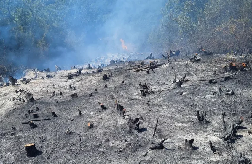 Bar: Ugašen požar na putu ka Limljanima - CdM